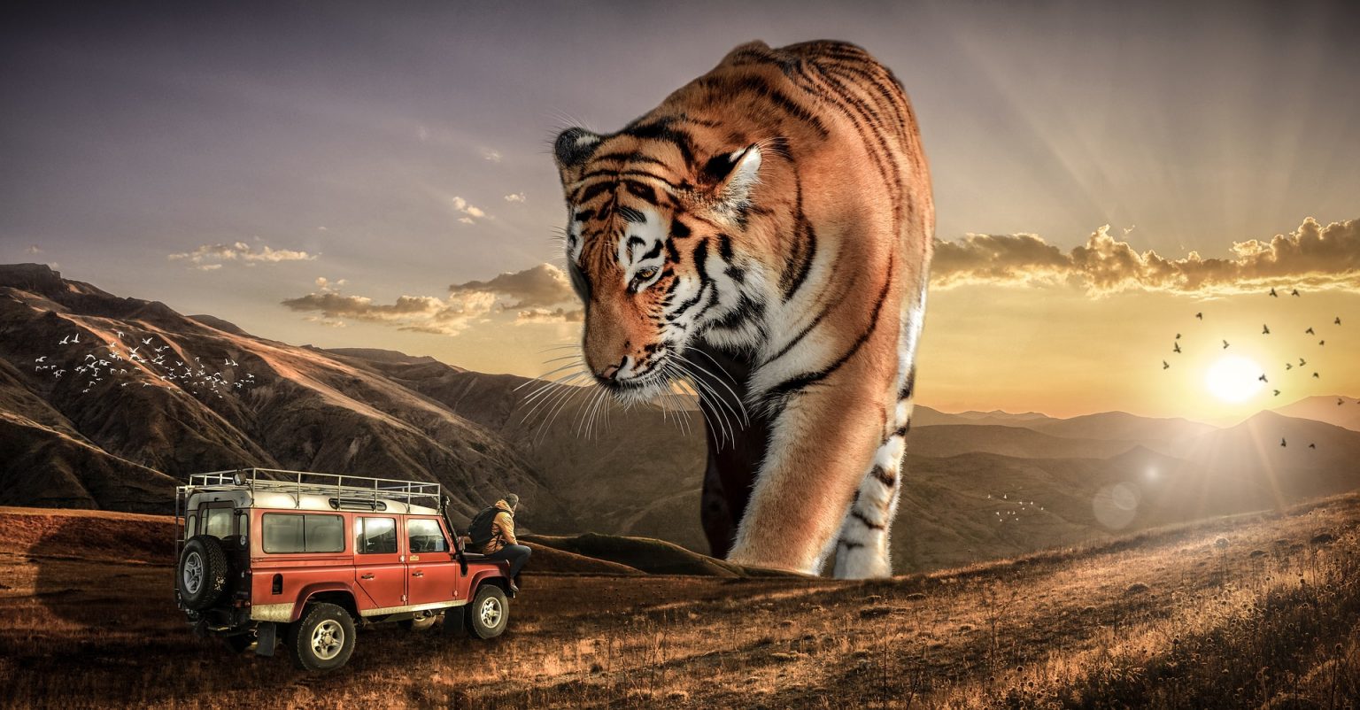 SELF-DISCIPLINE The Key to Change That Lasts - JosephBinning.com